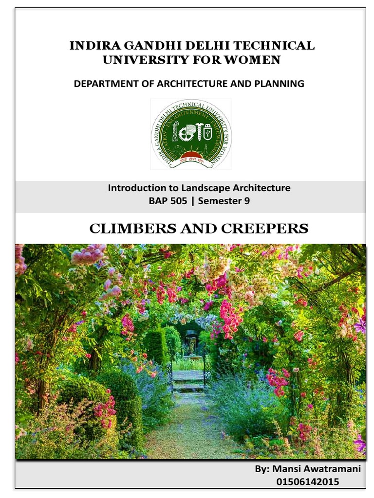 CREEPERS | PDF | Leaf | Flowers