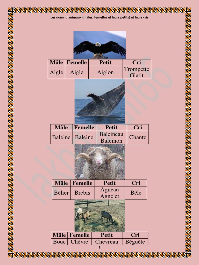 Noms et cris des animaux de la ferme | PDF | Écologie mammifère ...