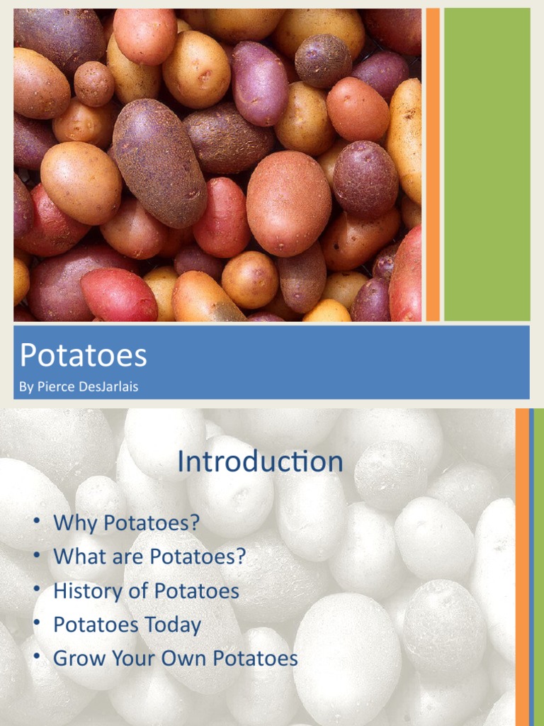 Potato Presentation Final | PDF | Potato | Sweet Potato
