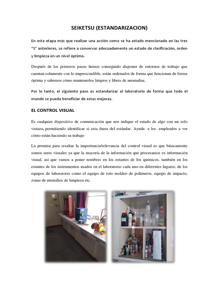 Seiketsu Estandarizacion | PDF | Tecnología