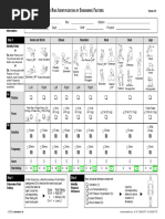 REBA Worksheet | PDF | Anatomical Terms Of Motion | Business
