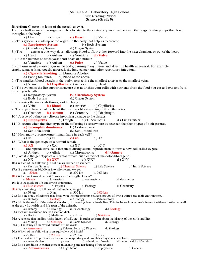 Grade 9 | PDF | Circulatory System | Vein