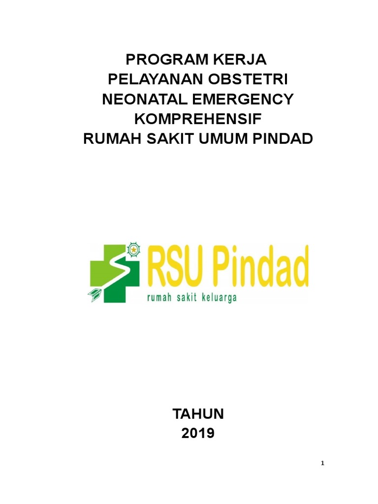 Program Kerja Ponek 2020 | PDF