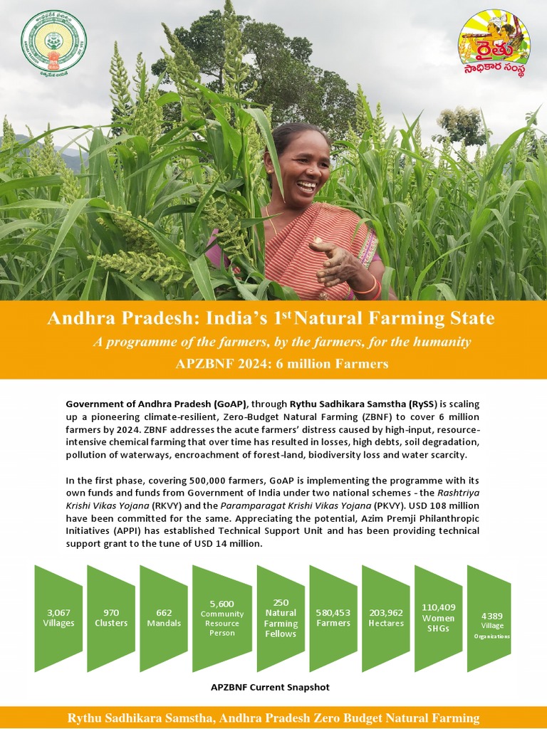 Brochure Final - Updated - Million - Final For Print | PDF ...