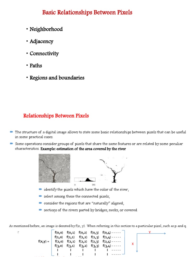 Basic Relationships Between Pixels | PDF | Imaging | Image Processing