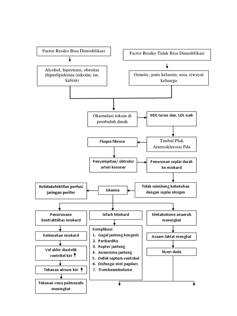 Mind Map 2 Stemi | PDF