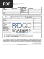 Predispatch Inspection Report | PDF