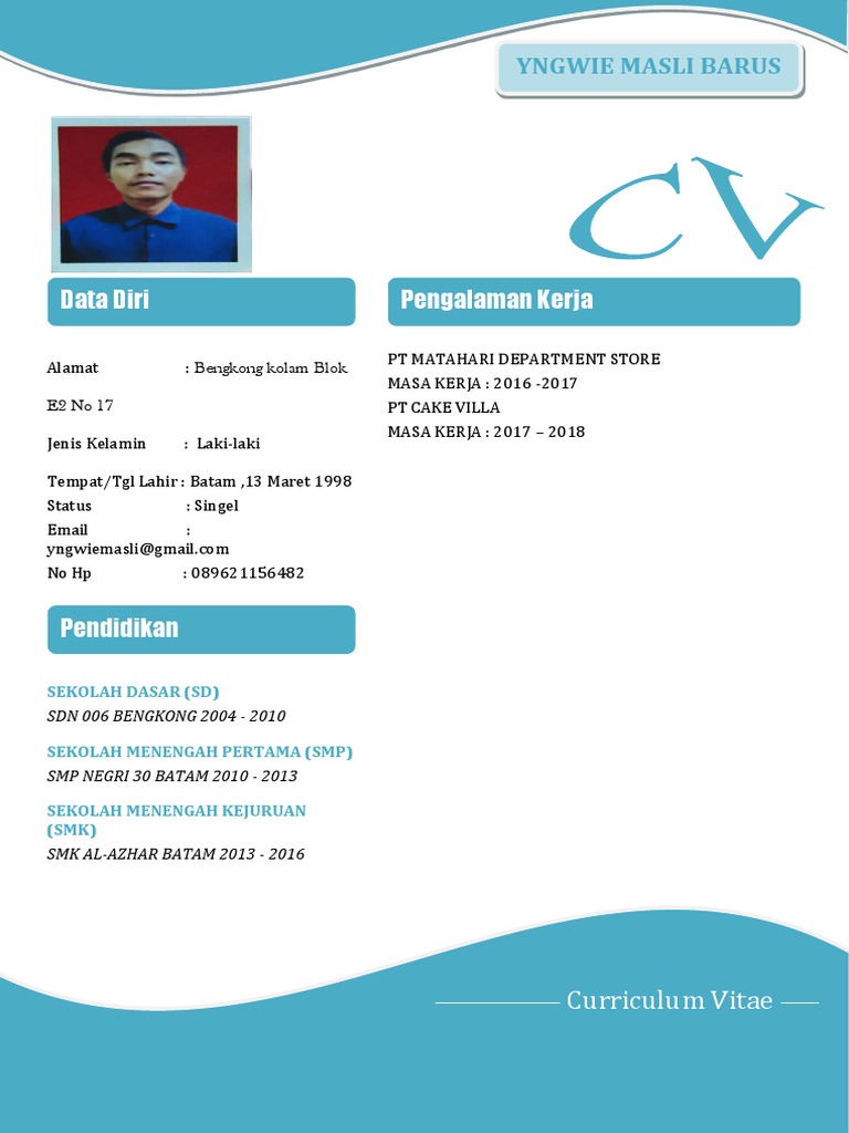 CV Hadi | PDF