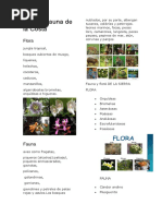 Plantas de La Costa Peruana | PDF