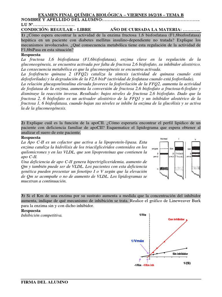 Final Bioquimica FMED UBA 16-2-18 TEMA B | PDF | Nicotinamida adenina dinucleótida | Transaminasa