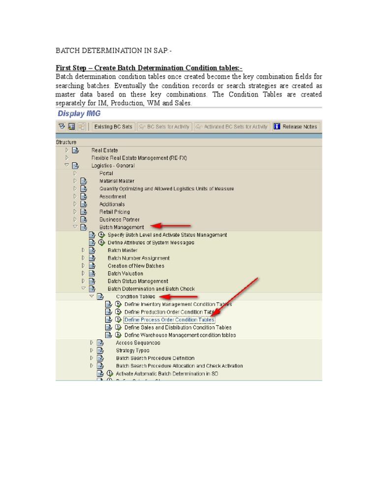 SAP Batch Determination Process Guide | PDF | Warehouse | Areas Of ...