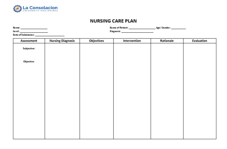 Nursing Care Plan Template Example | PDF | Career & Growth | Self ...