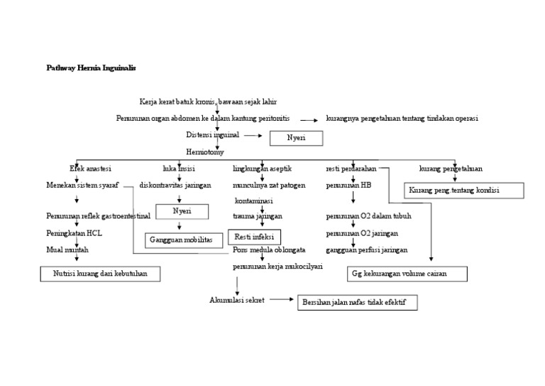 Pathway Hernia Inguinalis | PDF