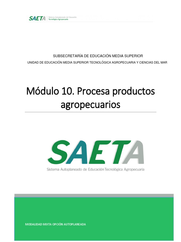 Programa - Modulo 10 - Saeta | PDF | Educación Secundaria | Productos lácteos