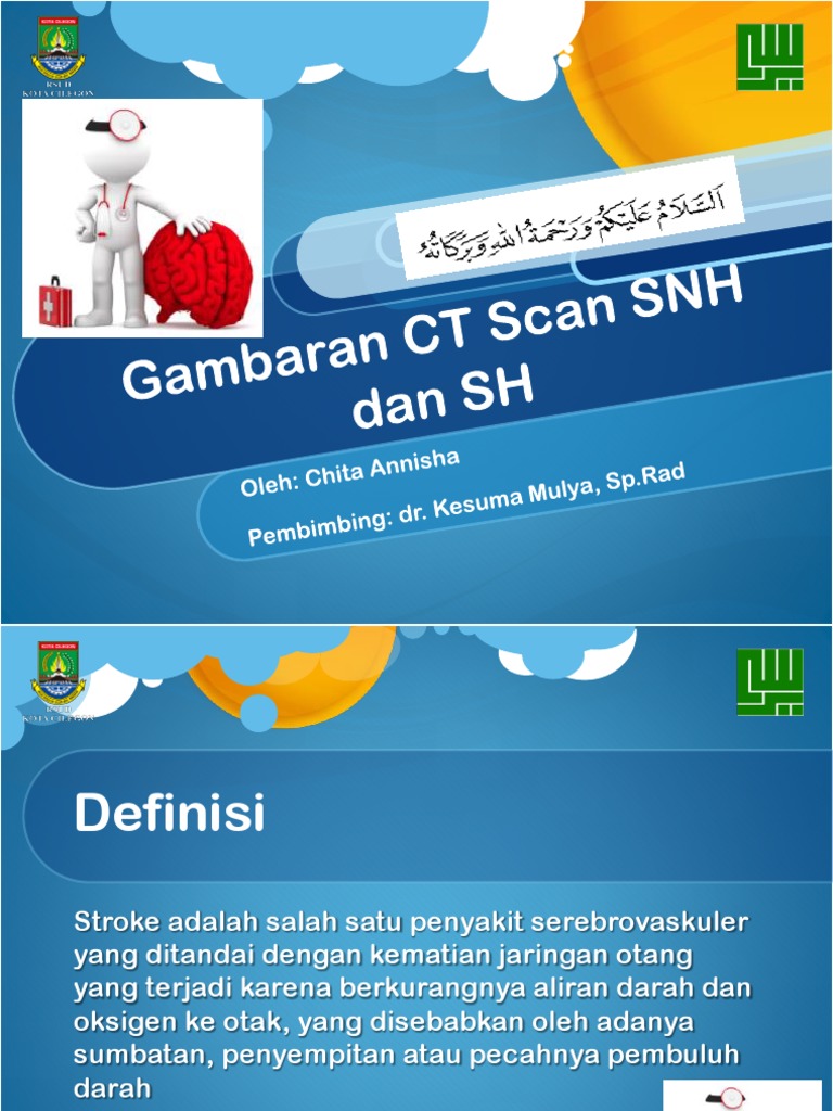 CT Scan SNH & SH | PDF