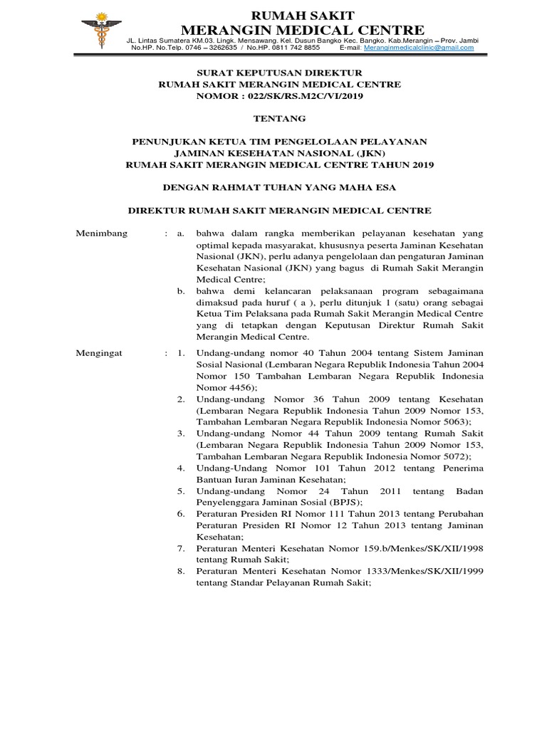 SK Ketua Tim Pelayanan JKN | PDF