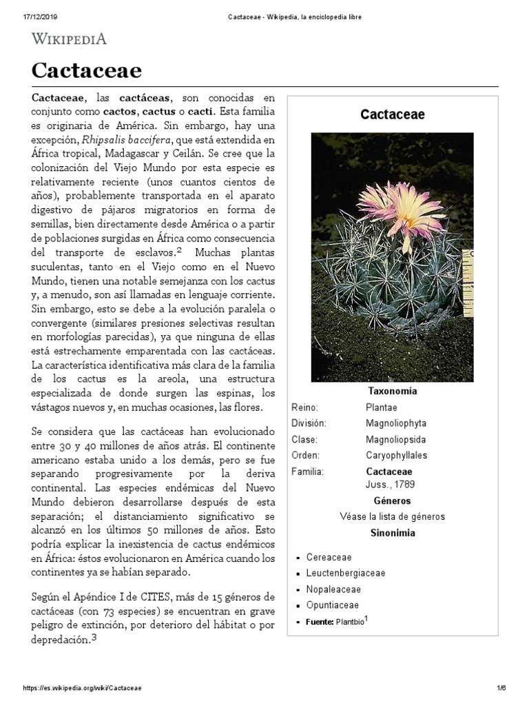 Cactus | PDF | Plantas | Organismos