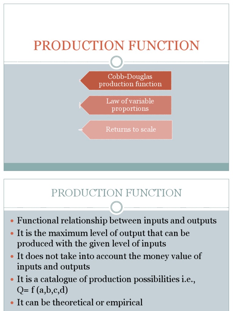 Economics-PRODUCTION FUNCTION | PDF