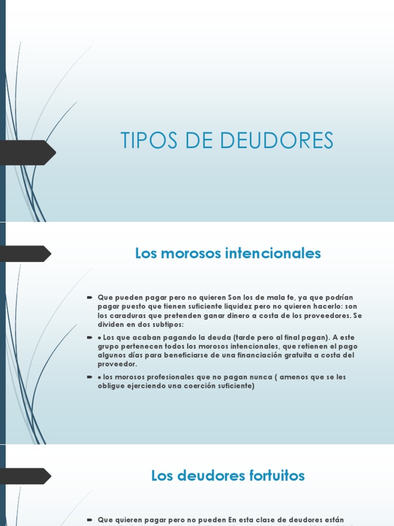 Tipos de Deudores | PDF