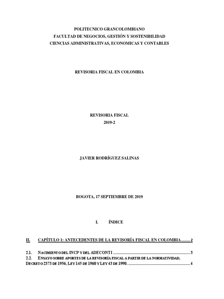 Plantilla Elaboracion PIF REVISORIA FISCAL | PDF | Contador | Contabilidad