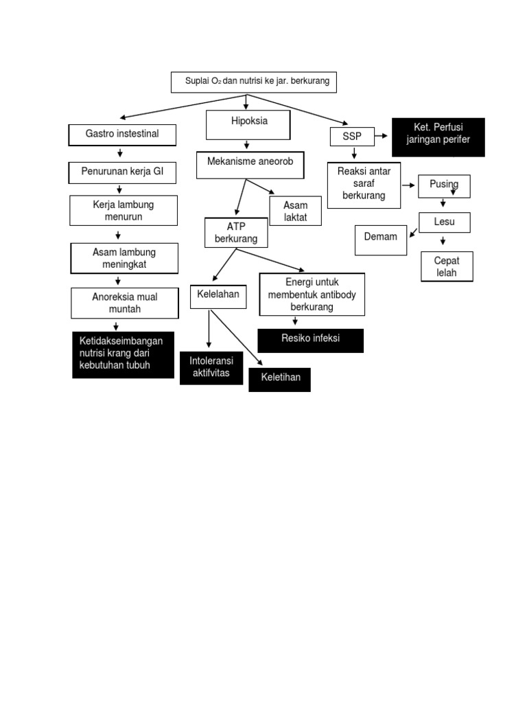 Anemia Pathway | PDF