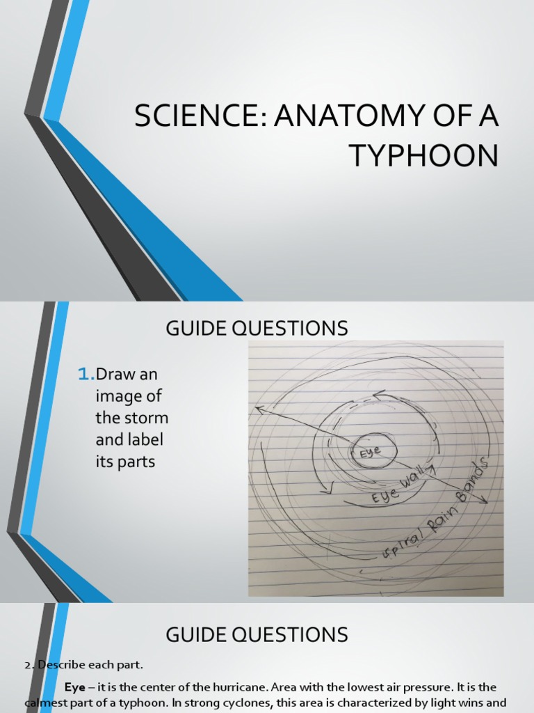 Anatomy and Parts of a Typhoon | PDF | Science & Mathematics ...