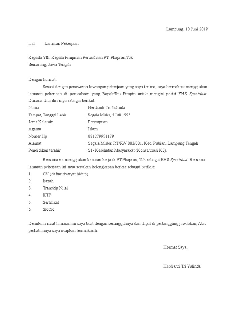 CV Dian | PDF