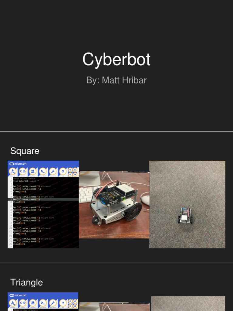 Cyberbot | PDF