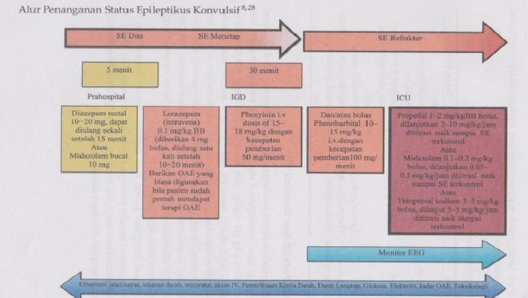 Tatalaksana Status Epileptikus | PDF