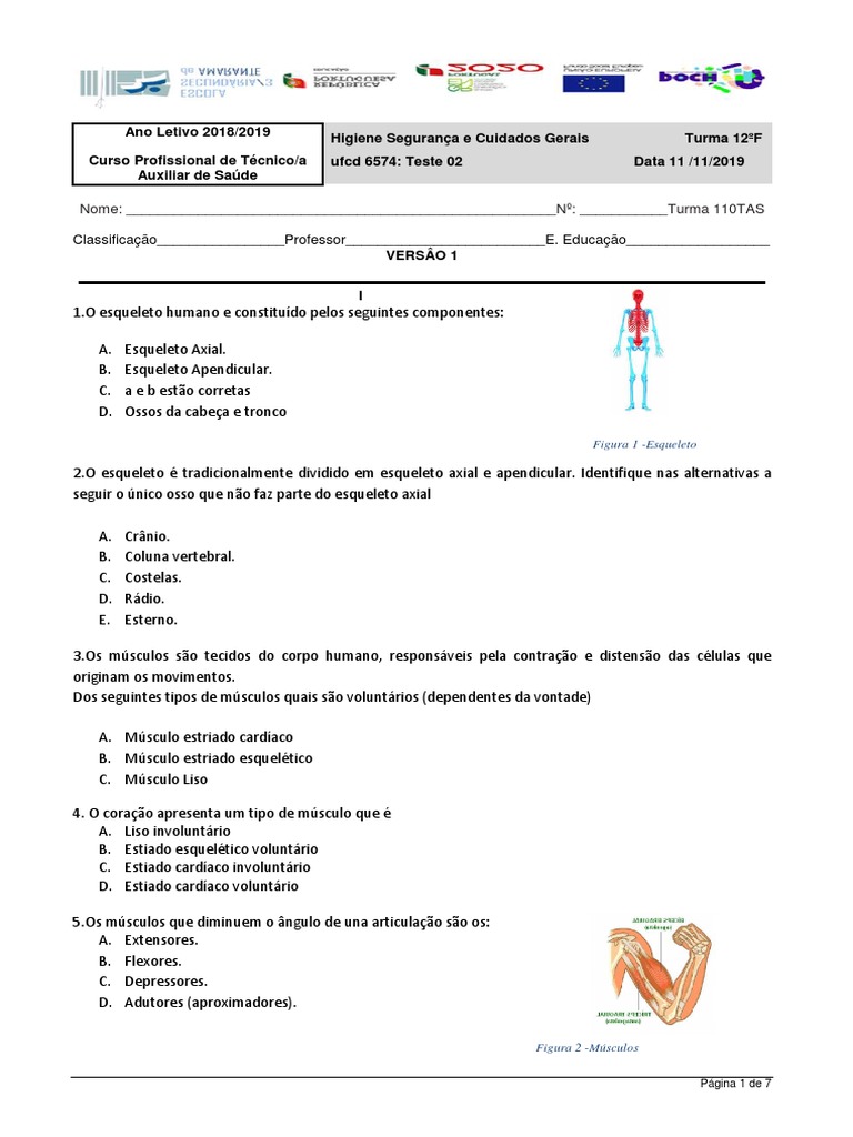 SAUDE 10_ufcd 6565_TESTE 02_1920.docx | Osso | Coluna Vertebral