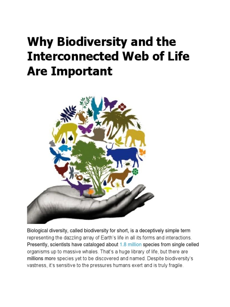 Why Biodiversity and The Interconnected Web of Life Are Important | PDF ...