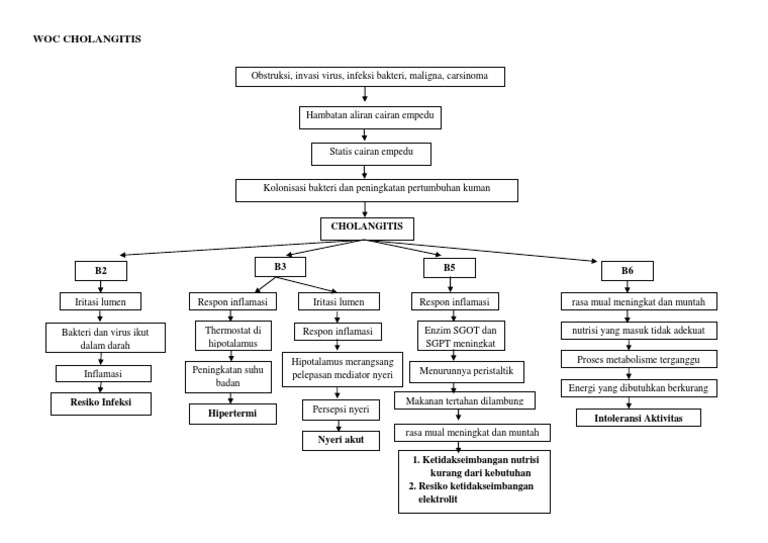 Woc Cholangitis | PDF
