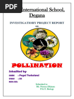 Pollination Class 12 Biology Project | PDF | Pollination | Pollinators