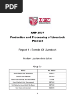 Official List of Breed Codes For Bovine: Beef Breeds | PDF | Livestock ...