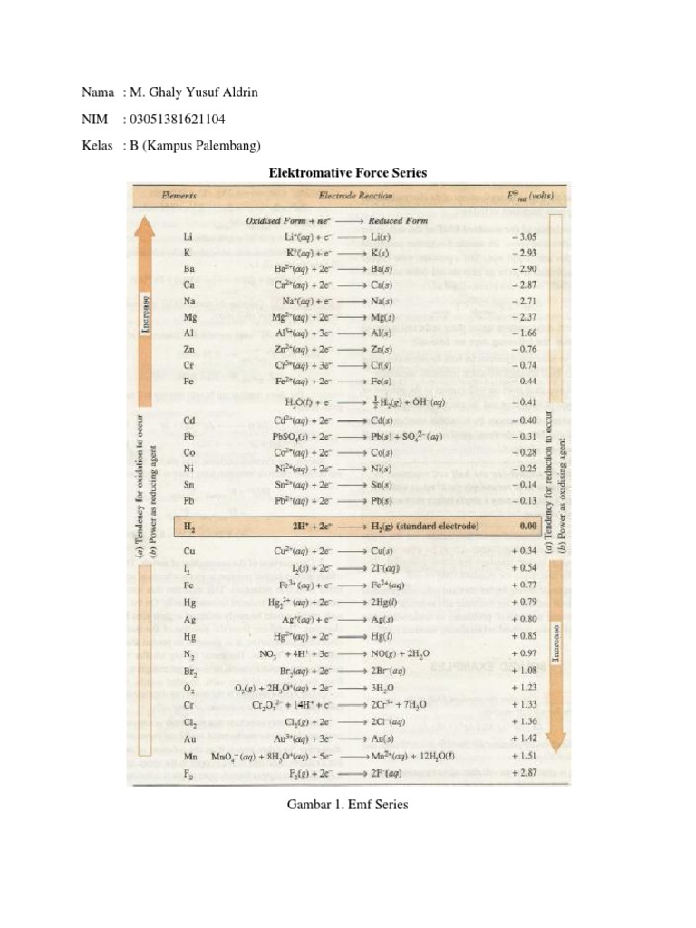 Emf Series | PDF