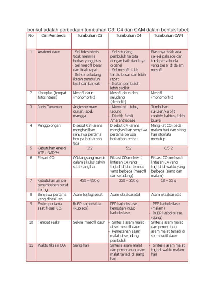 Perbedaan C3, C4 Dan CAM | PDF