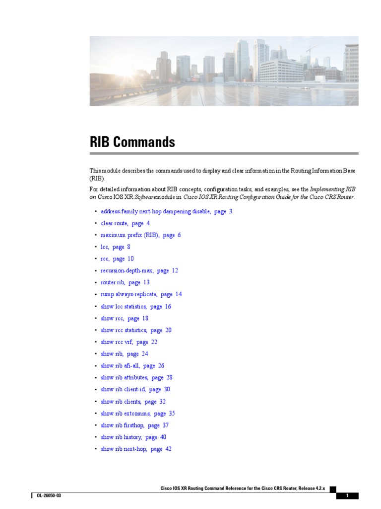 RIB Commands | Download Free PDF | Ip Address | I Pv6
