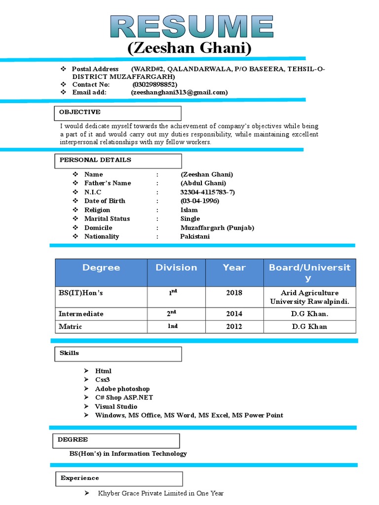 Zeeshan CV | PDF