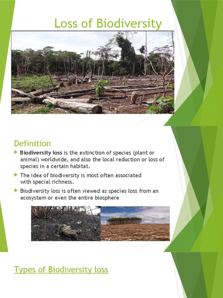 New Loss of Biodiversity | PDF | Invasive Species | Biodiversity