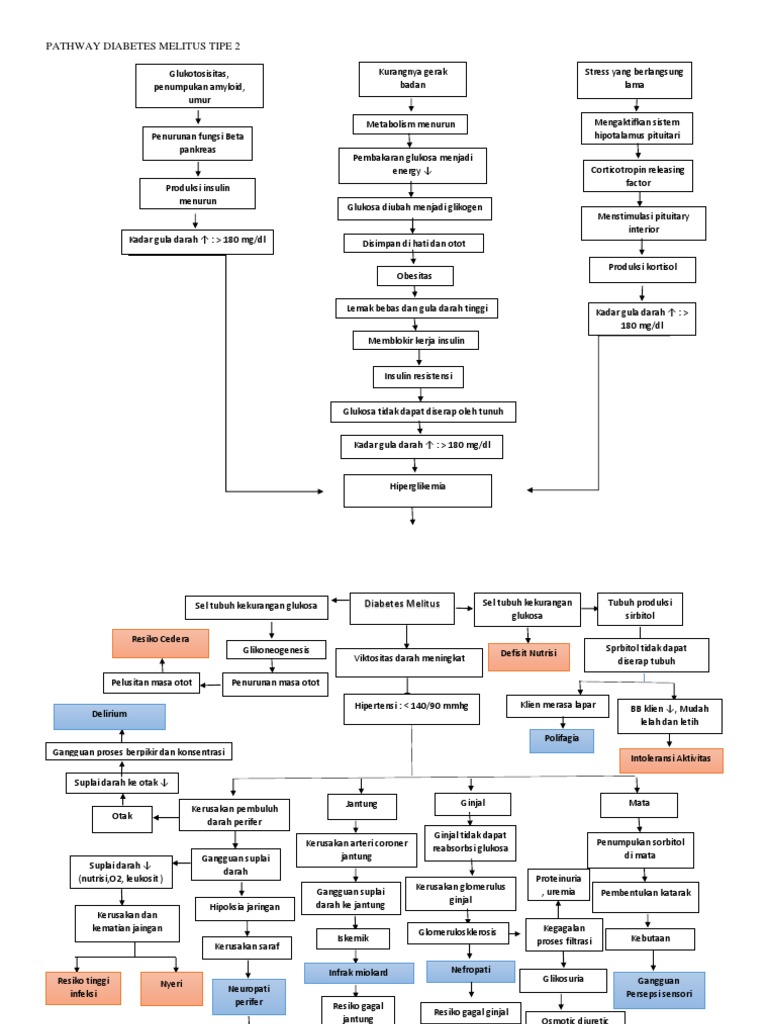 Pathways of Type 2 Diabetes Mellitus | PDF