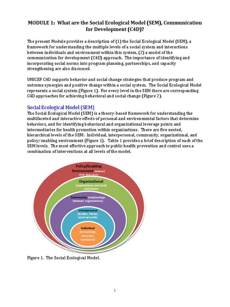 Module 1 SEM-C4D | PDF | Swot Analysis | Community