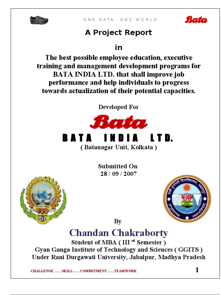 Developing a Comprehensive Employee Training and Development Program to ...