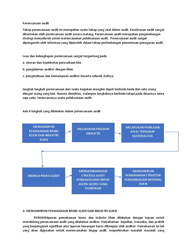 Langkah Perencanaan Audit Efektif | PDF