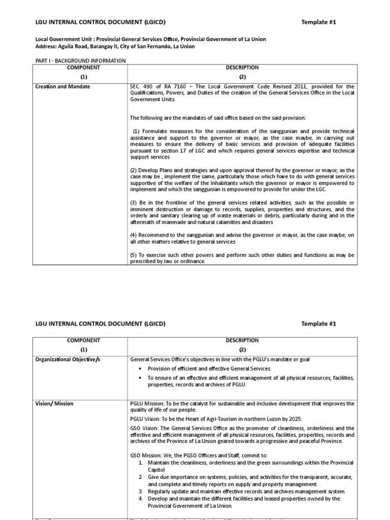 Template 1 GSO | PDF | Internal Control | Risk Management