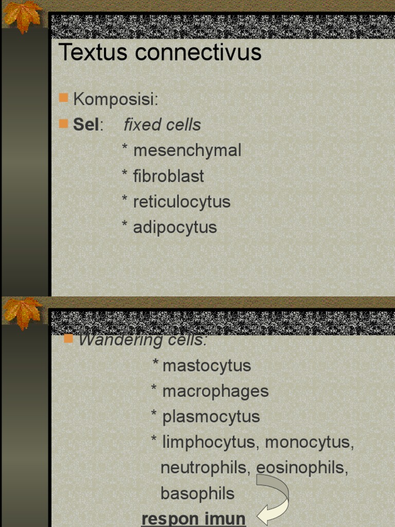 Textus Connectivus | PDF