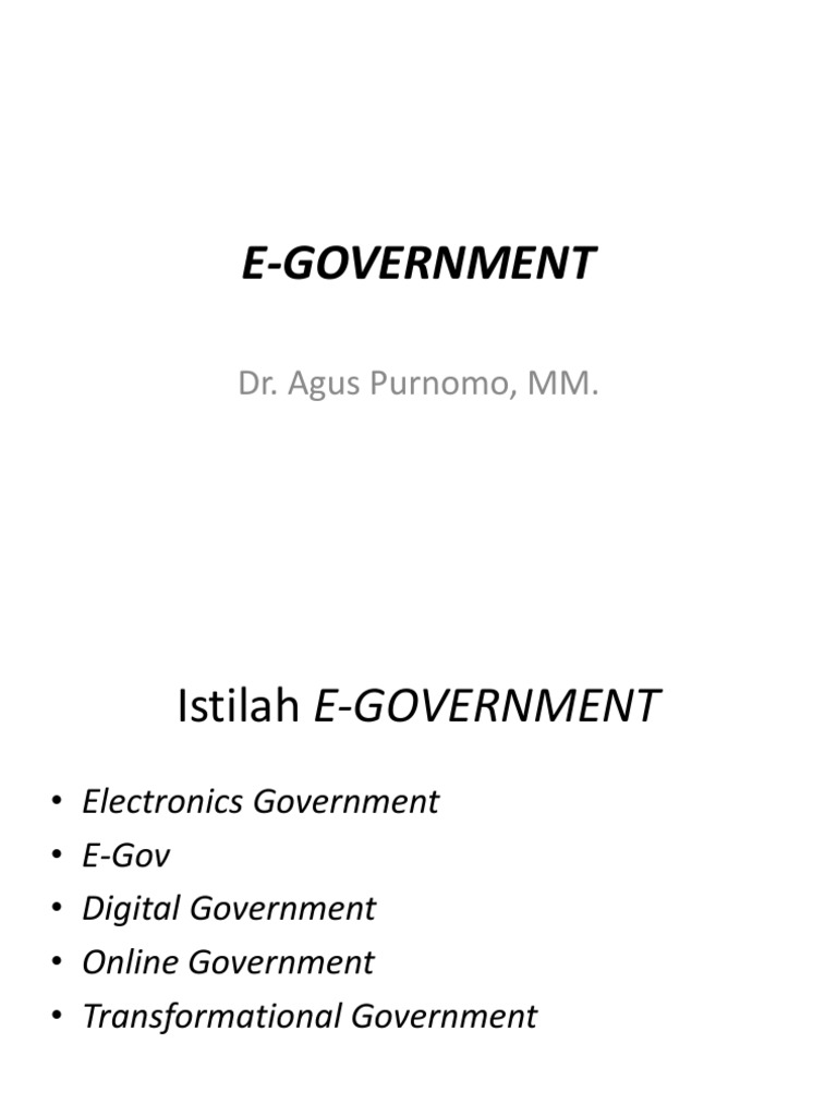 E Government | PDF