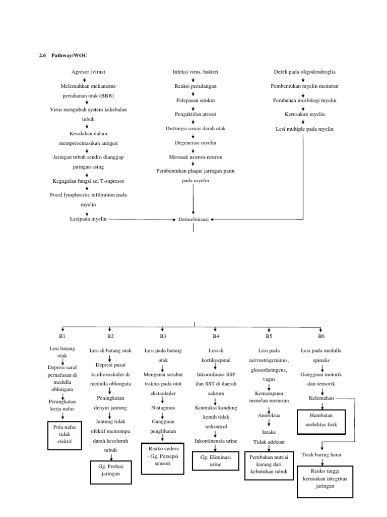 Pathway Sklerosis Multiple | PDF
