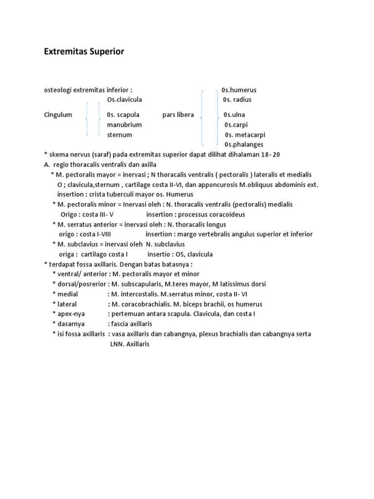 Extremitas Superior | PDF | Ilmu Sosial