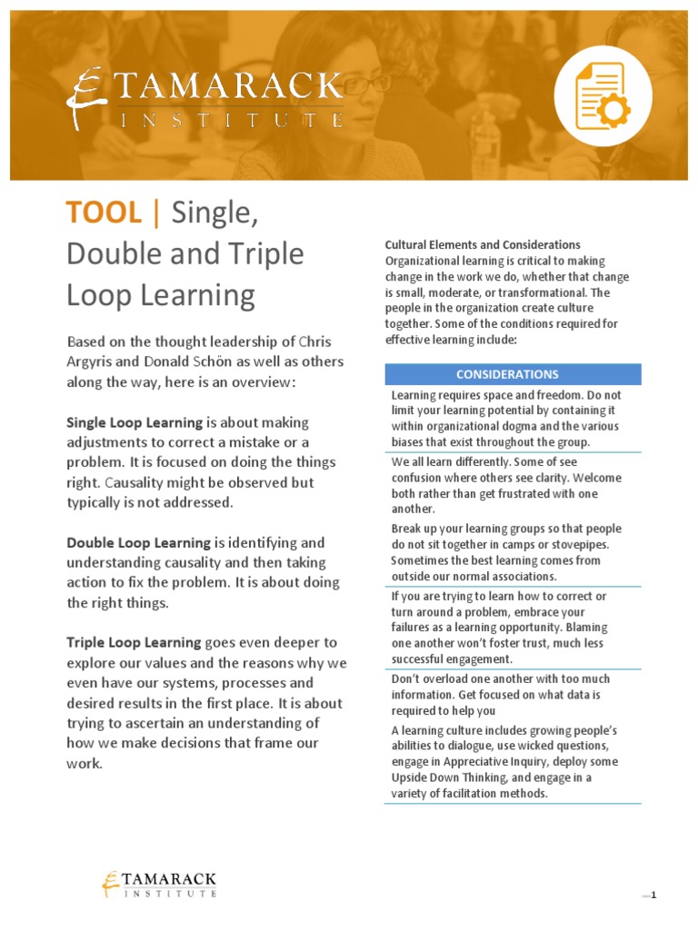 Tool - Single Double Triple Loop Learning | PDF | Causality | Learning