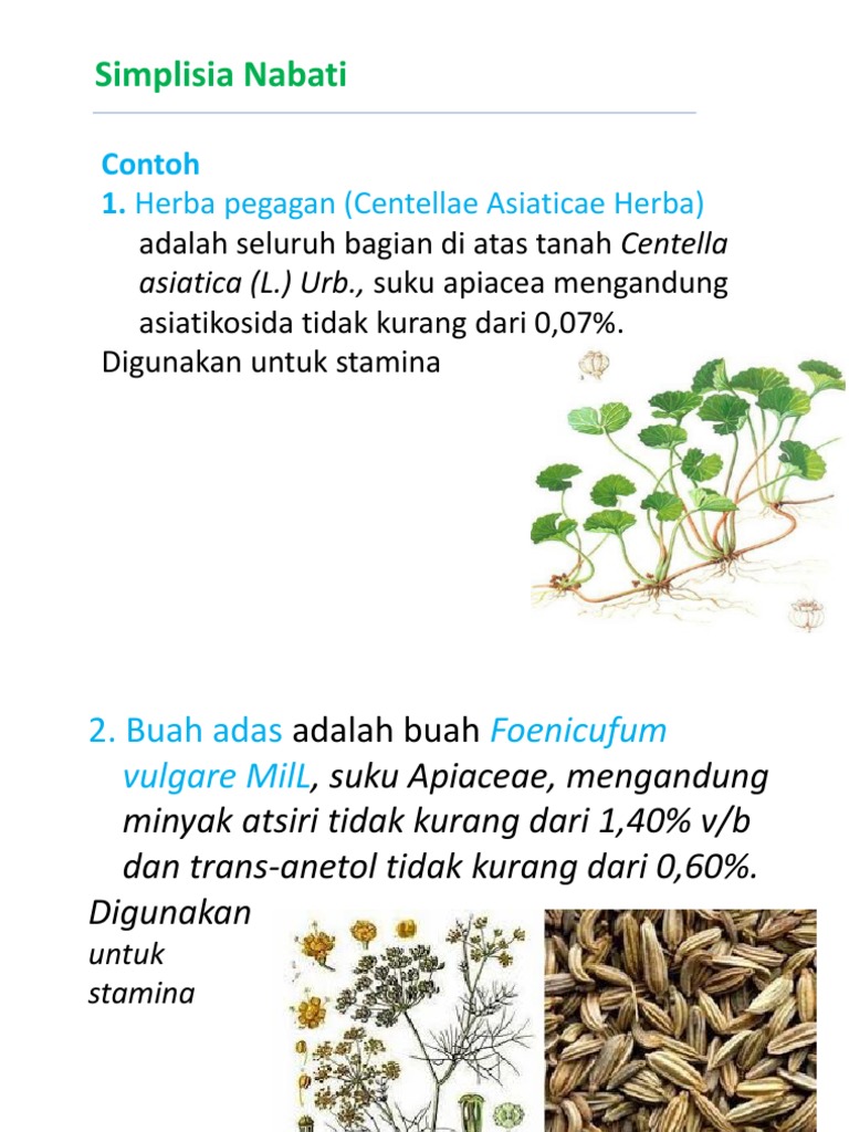 Simplisia Nabati 3 | PDF